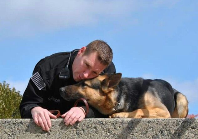 A Police Dog’s… – Viral Stories