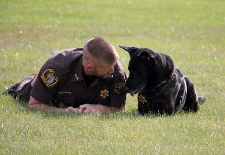 A Police Dog’s… – Viral Stories
